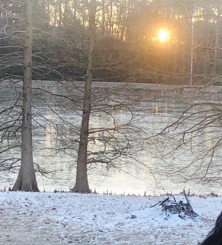 Grief Roads – Joy in My Journey